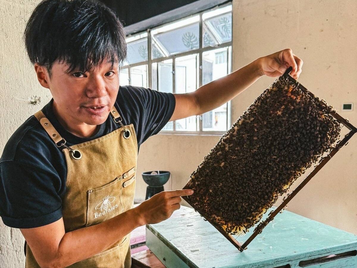 Jill Kong, Beetales, shares the buzzworthy story of a nature ...